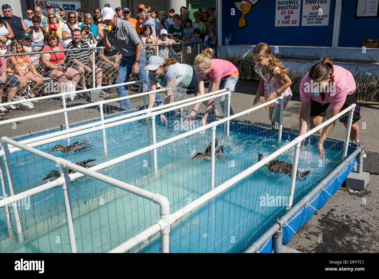 Duck races, Great New York State Fair, Syracuse Stock Photo - Alamy