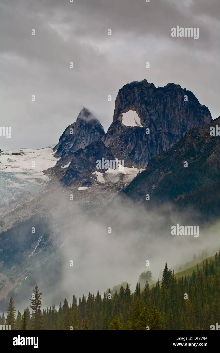A scene in Bugaboo Provincial Park on a damp and misty day Stock Photo ...