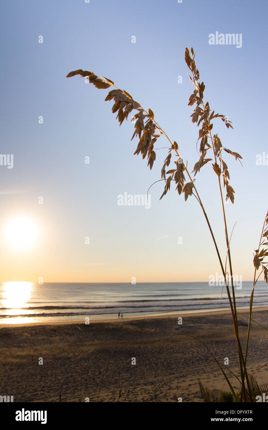 Obx hi-res stock photography and images - Alamy