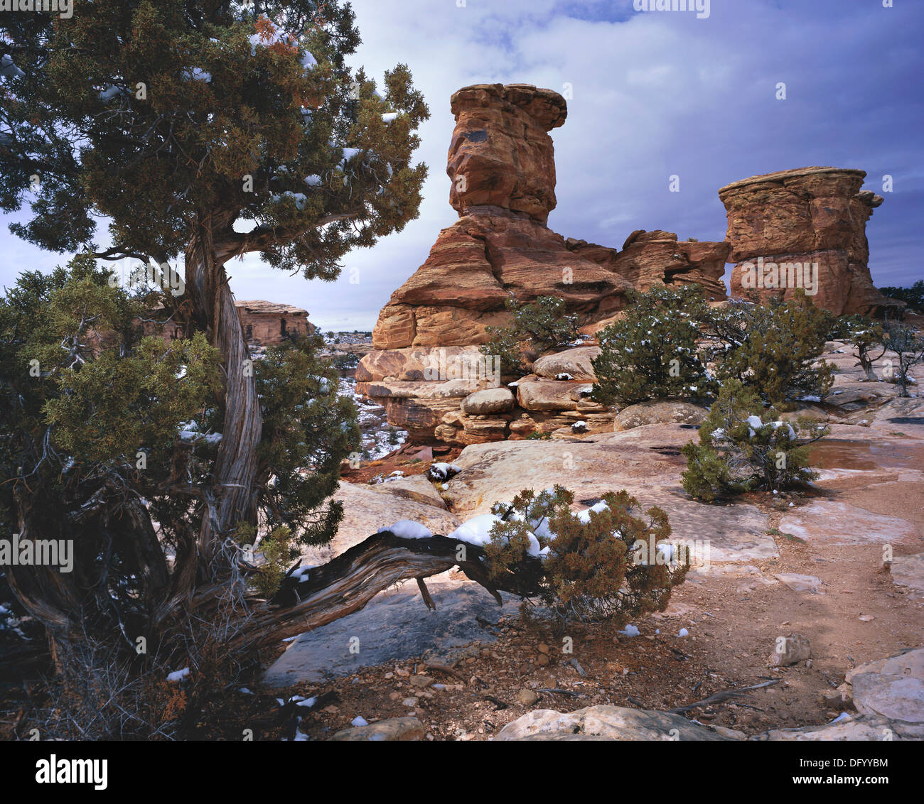 Canyonlands, Needles District, UT Stock Photo - Alamy