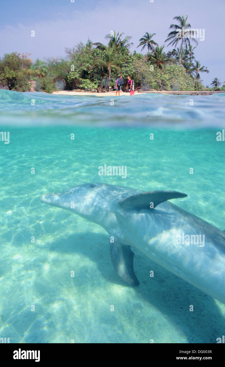 Anthony stand hi-res stock photography and images - Alamy