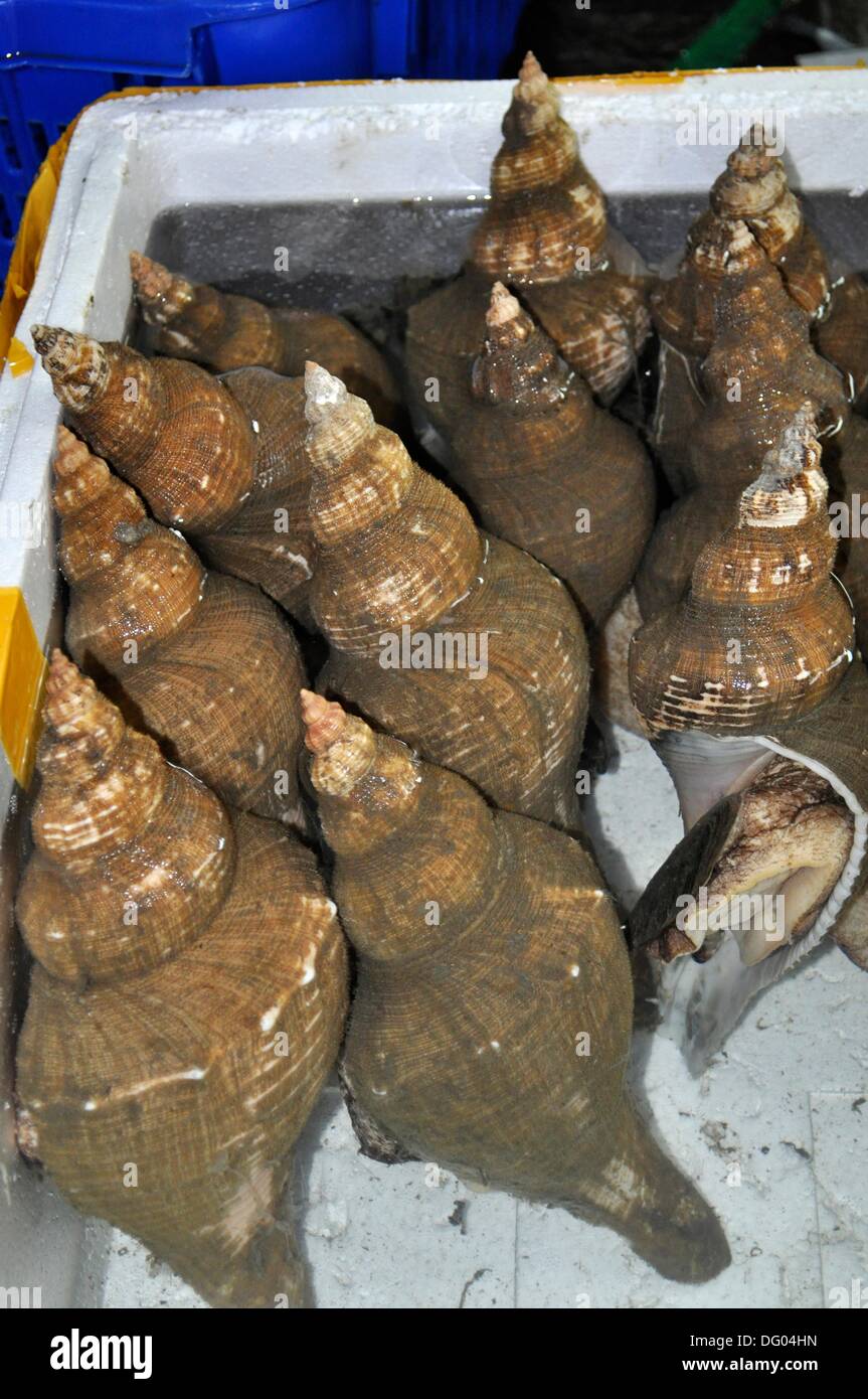 Alive shellfish at the fish market in hi-res stock photography and ...