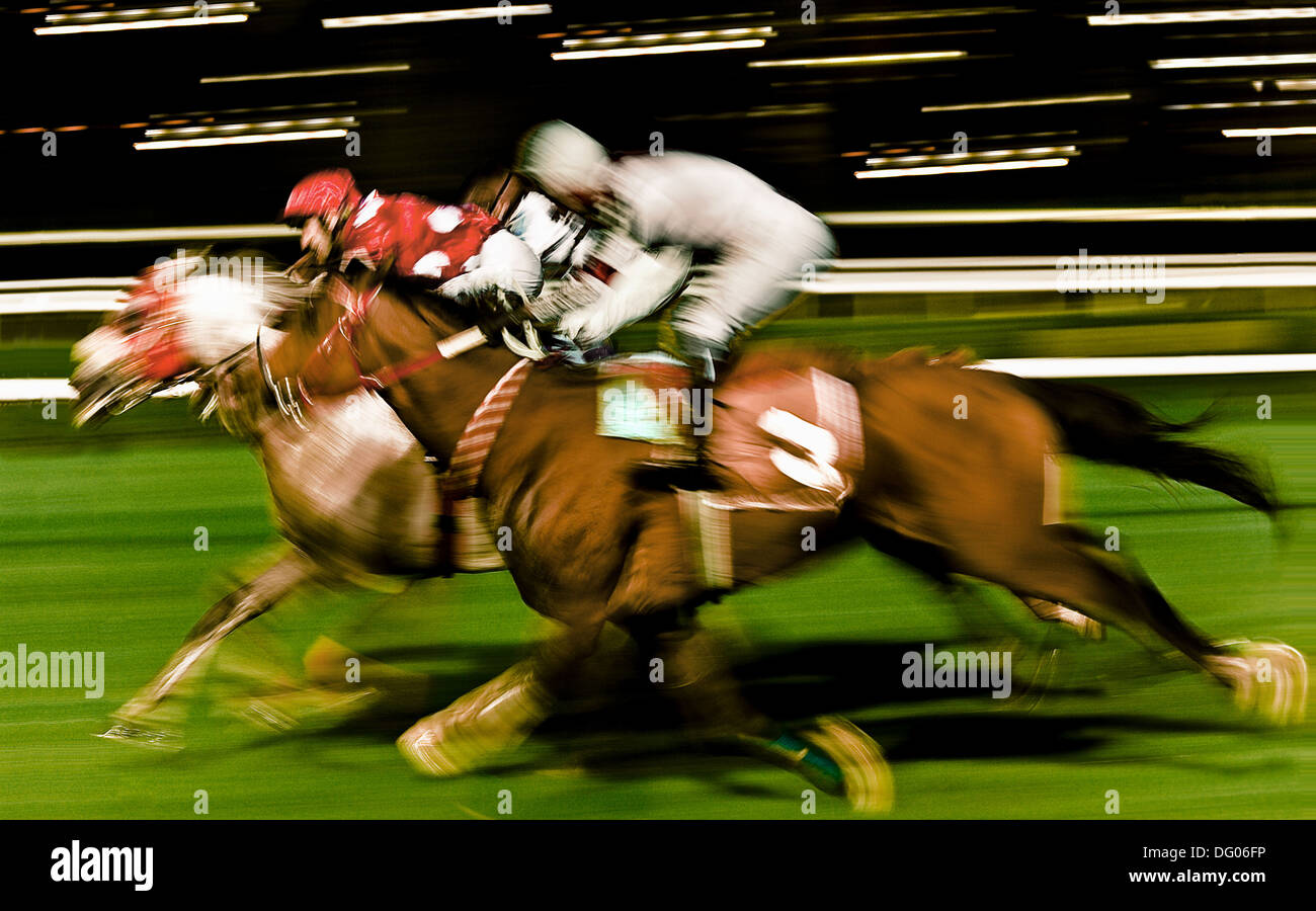 Turkey istanbul horse hi-res stock photography and images - Alamy