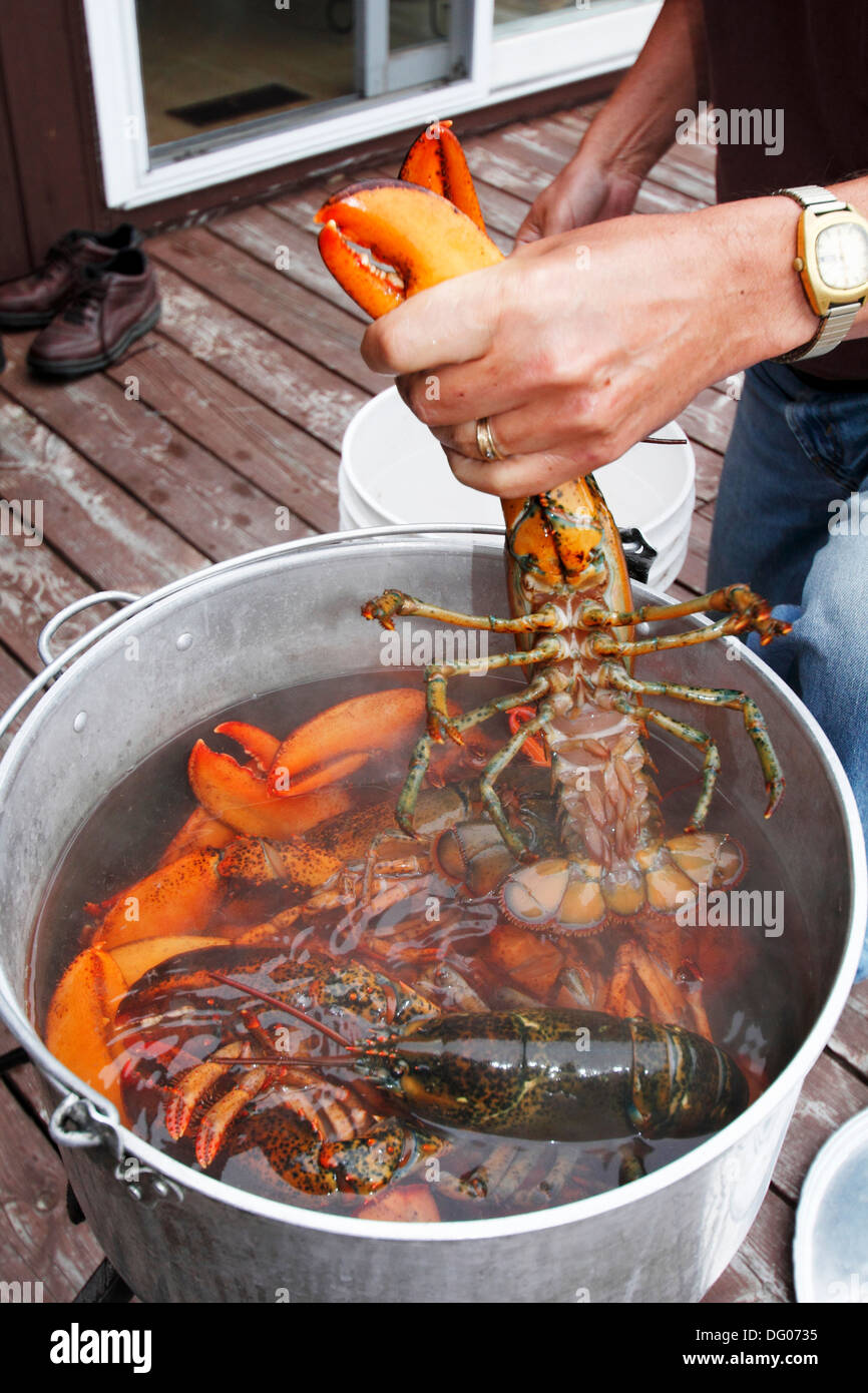 Boiling Pot Sea High Resolution Stock Photography and Images - Alamy