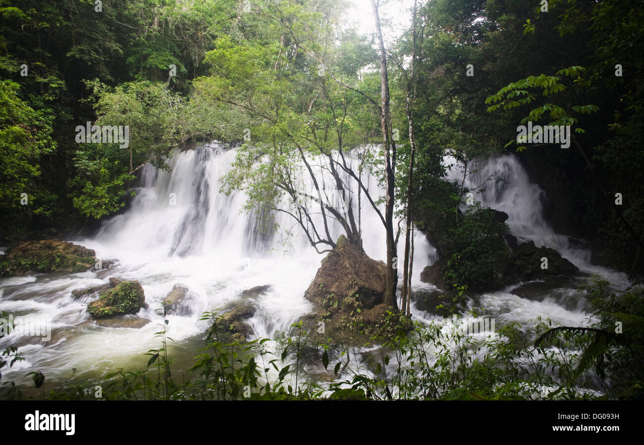 The Lacandón rainforest, Chiapas, México Stock Photo - Alamy