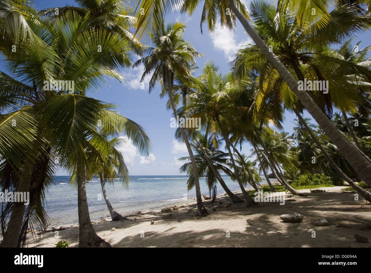Fronton beach dominican republic hi-res stock photography and images ...