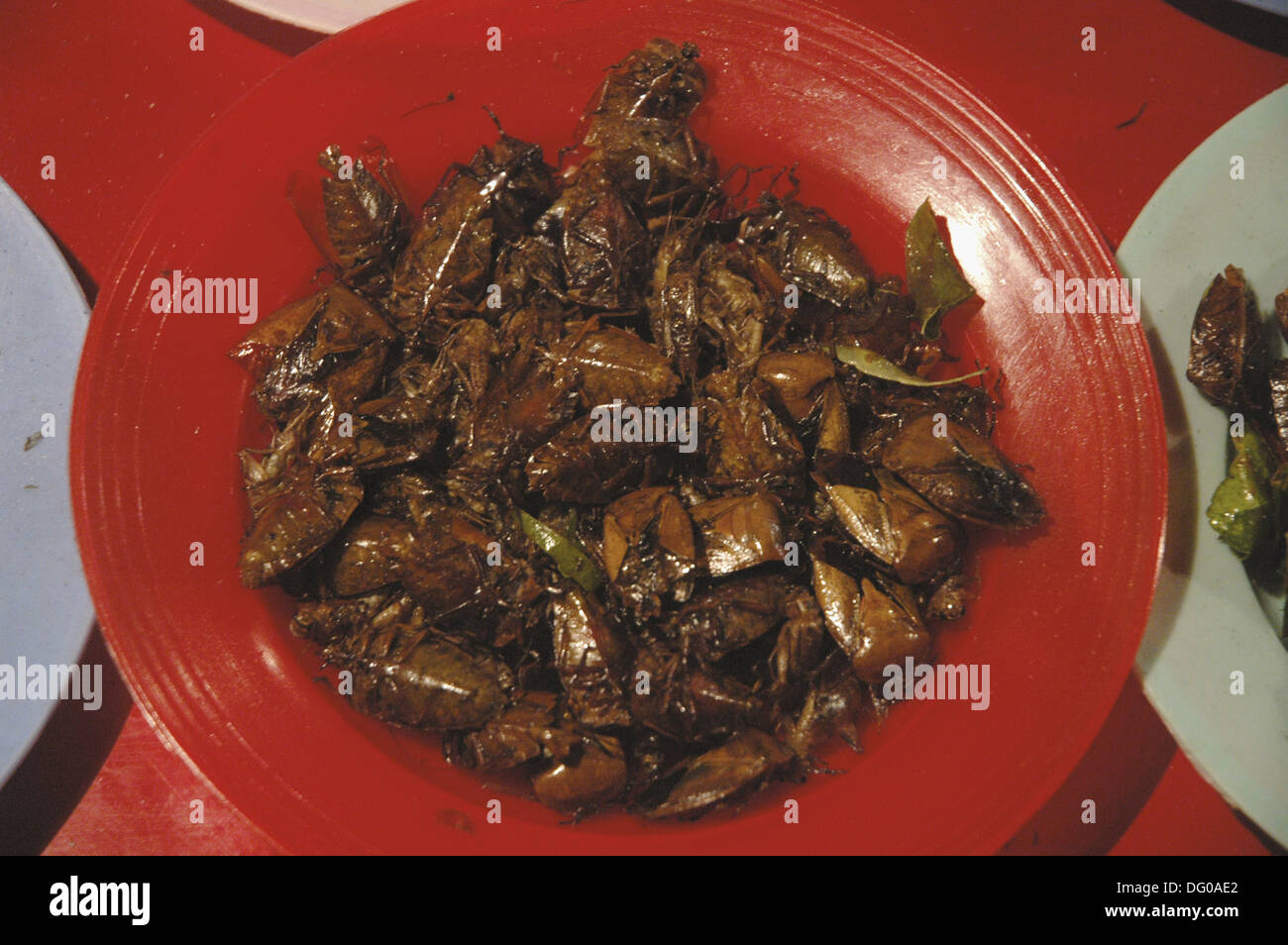 Vientiane Laos: fried bugs sold during the Pha That Luang Festival ...