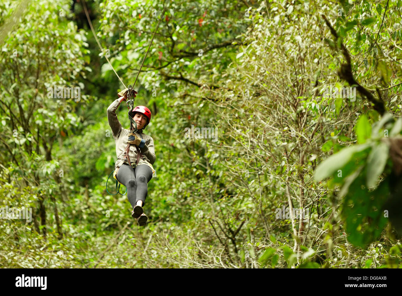 Zip Line Adventure In Ecuadorian Rainforest Banos De Agua Santa Stock ...