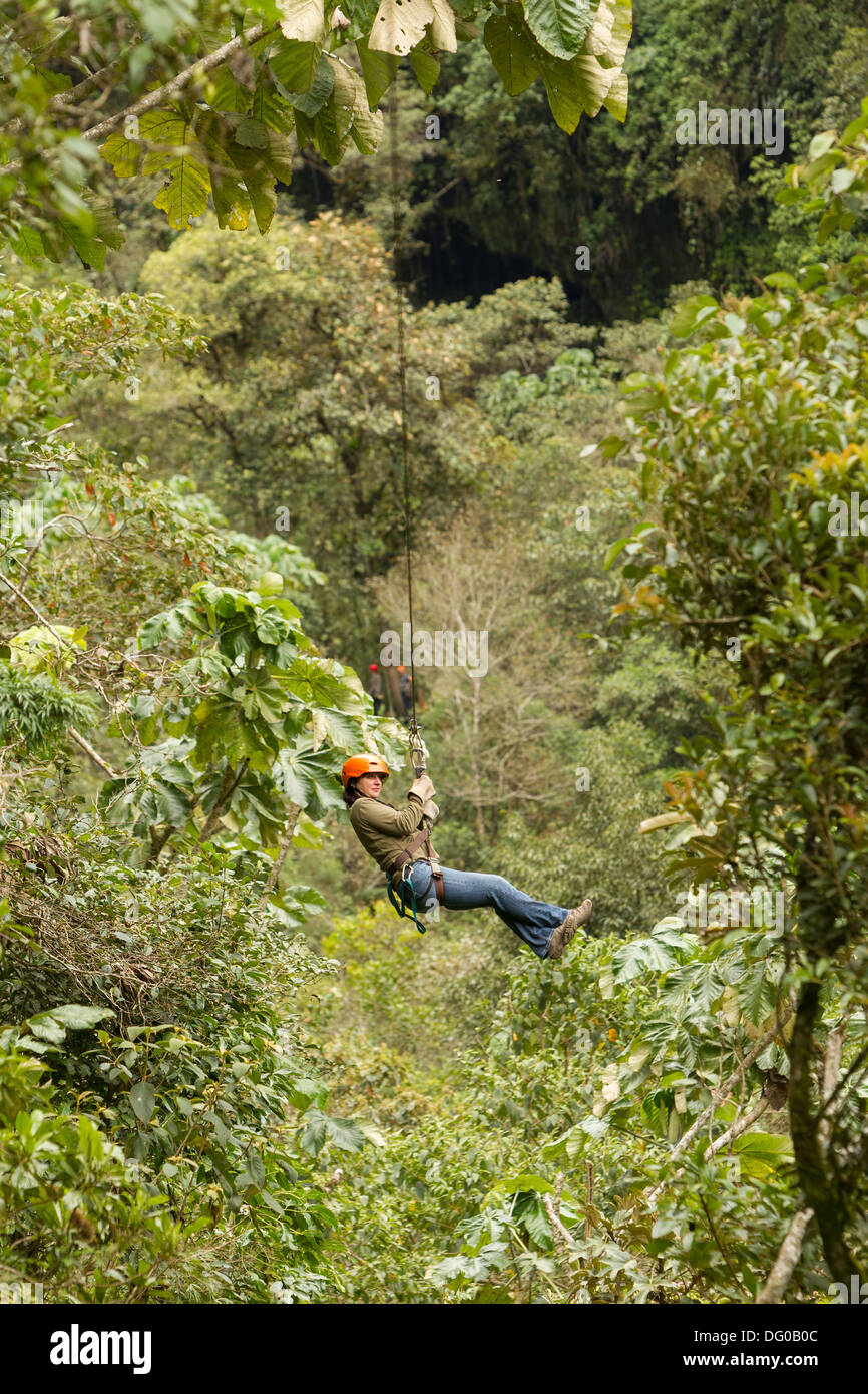 Zip Line Adventure In Ecuadorian Rainforest Banos De Agua Santa Stock ...