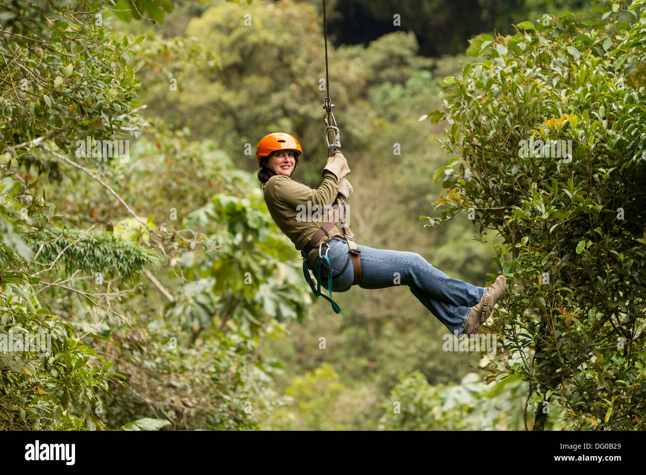 Zip Line Adventure In Ecuadorian Rainforest Banos De Agua Santa Stock ...