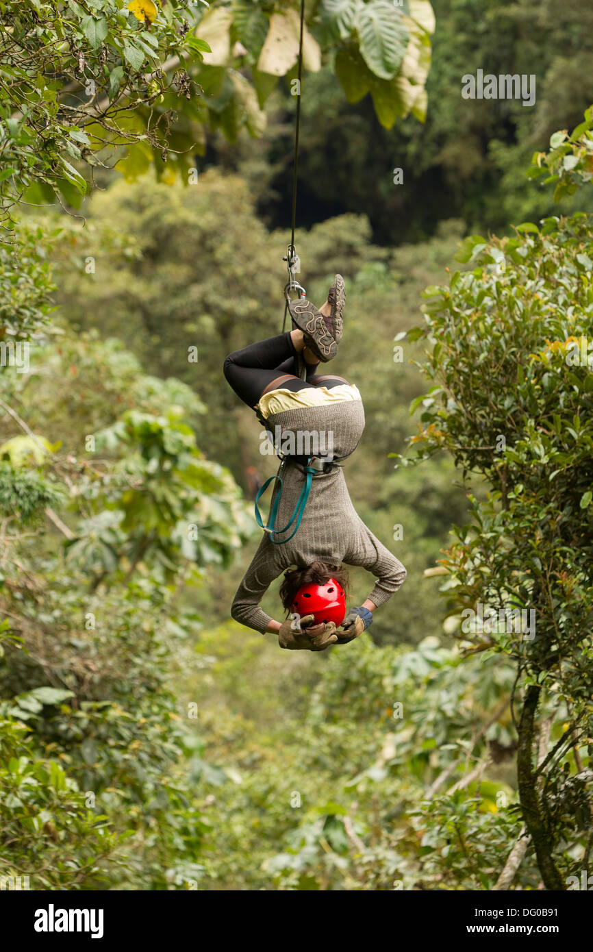 Zip Line Adventure In Ecuadorian Rainforest Banos De Agua Santa Stock ...