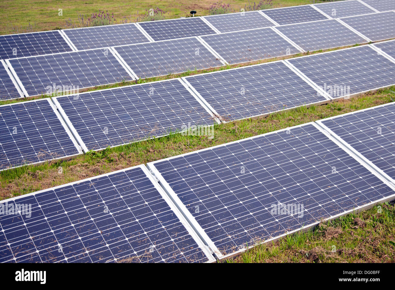 solar panels in the grass of a garden Stock Photo - Alamy