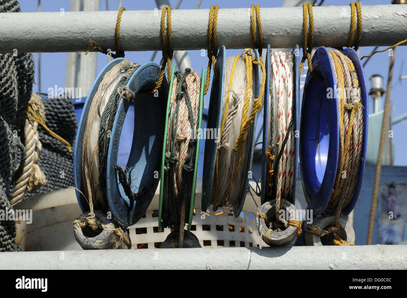 Numb fish hi-res stock photography and images - Alamy