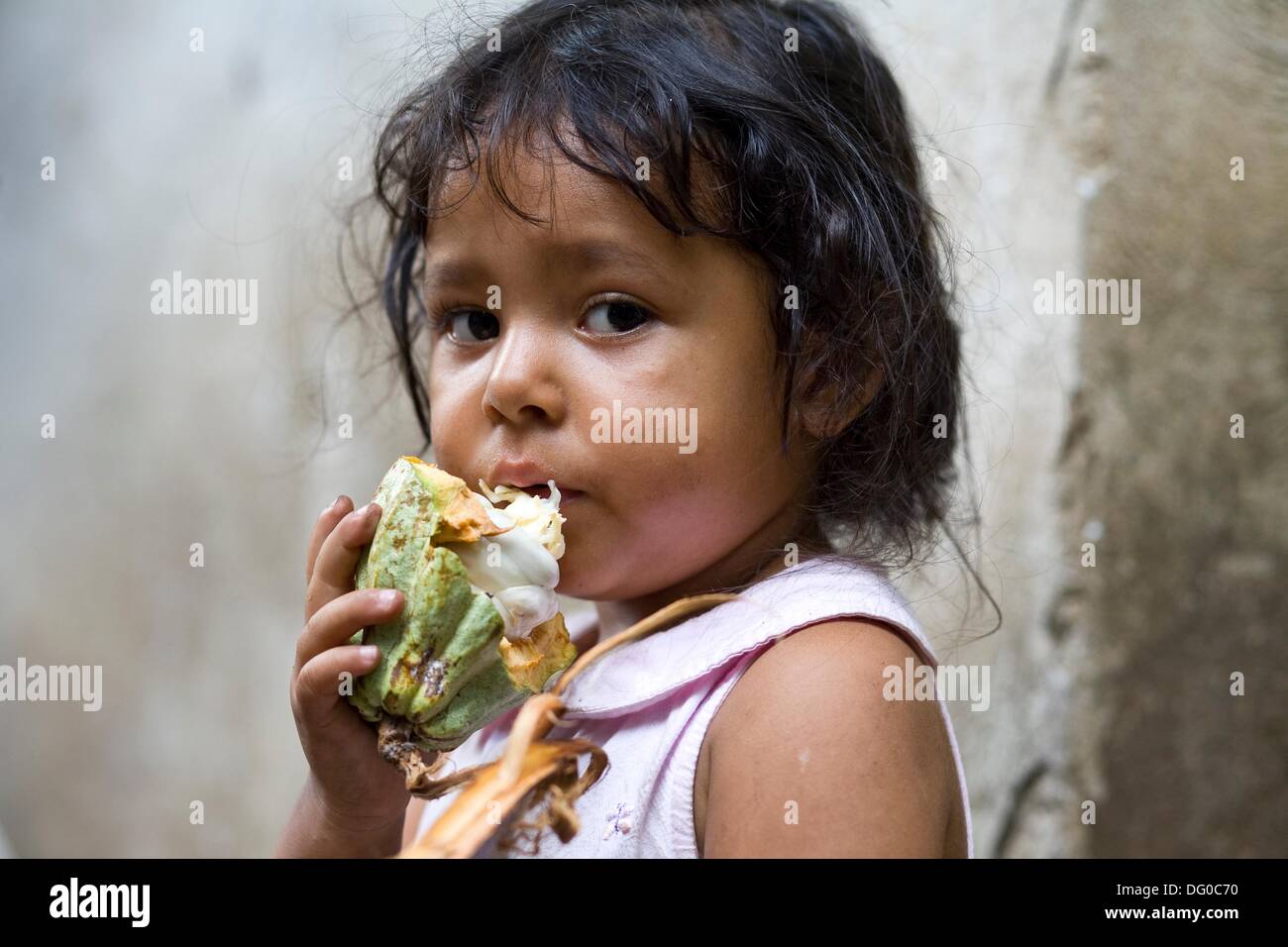 Cacao maya hi-res stock photography and images - Alamy