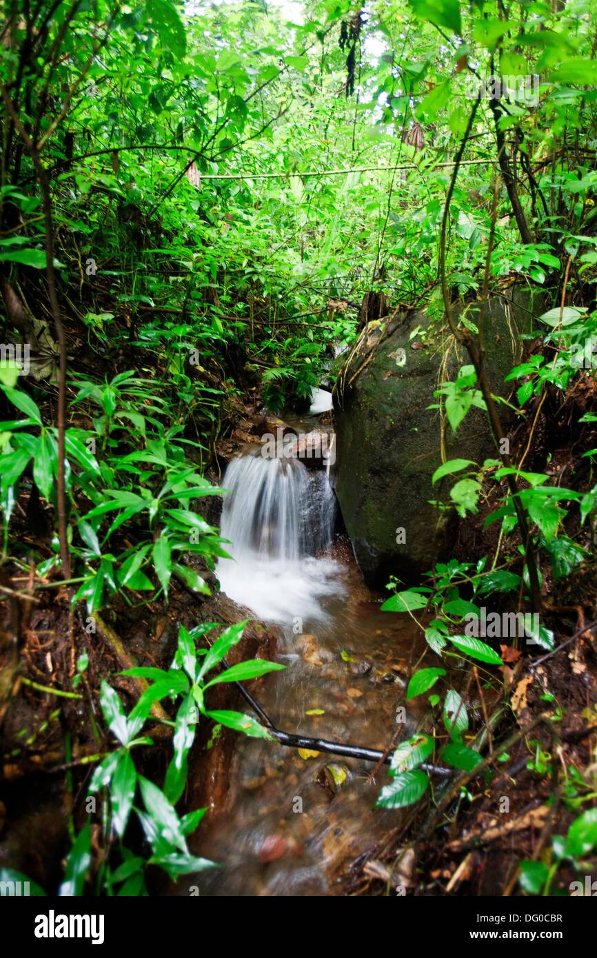 Underground growth hi-res stock photography and images - Alamy