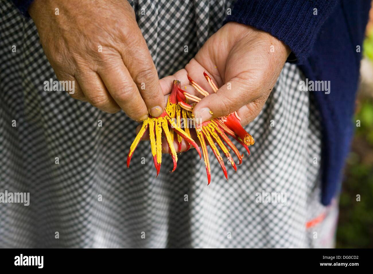 Pie maya hi-res stock photography and images - Alamy