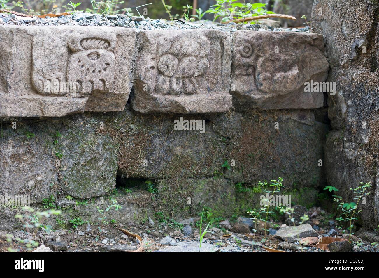 Mayan Glyph Stock Photos & Mayan Glyph Stock Images - Alamy