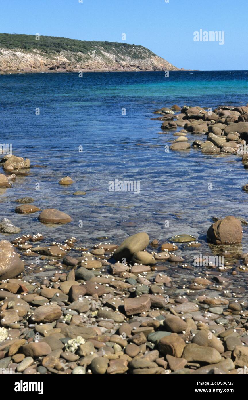Stokes bay, kangaroo island hi-res stock photography and images - Alamy