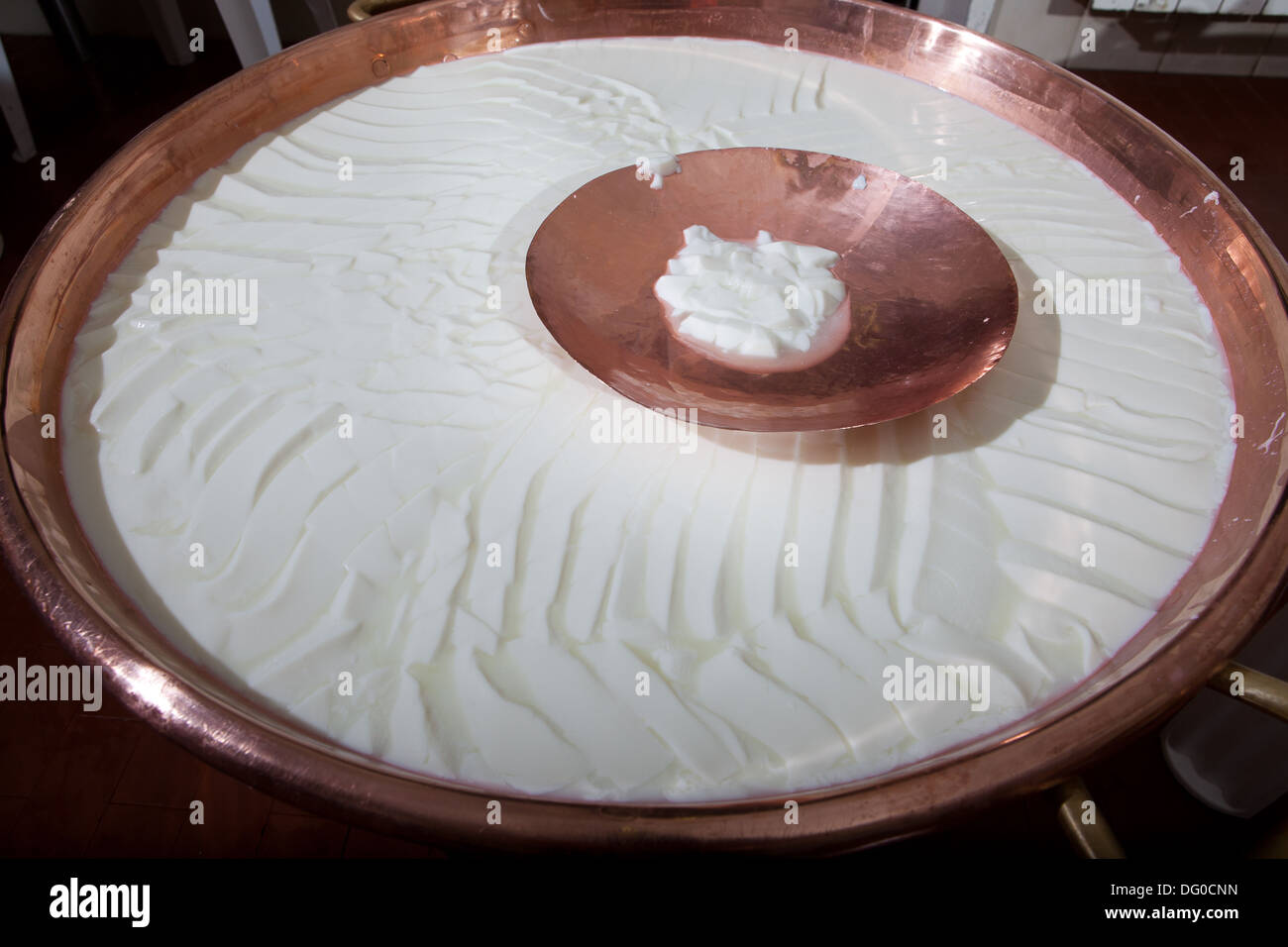 Italy, Lombardy, Valsassina, production of cheese Taleggio DOP ...