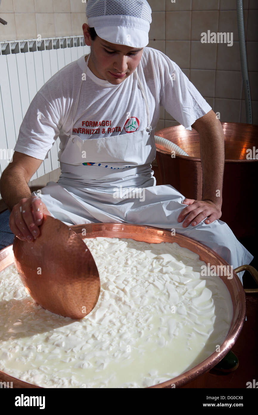 Italy, Lombardy, Valsassina, production of cheese Taleggio DOP ...