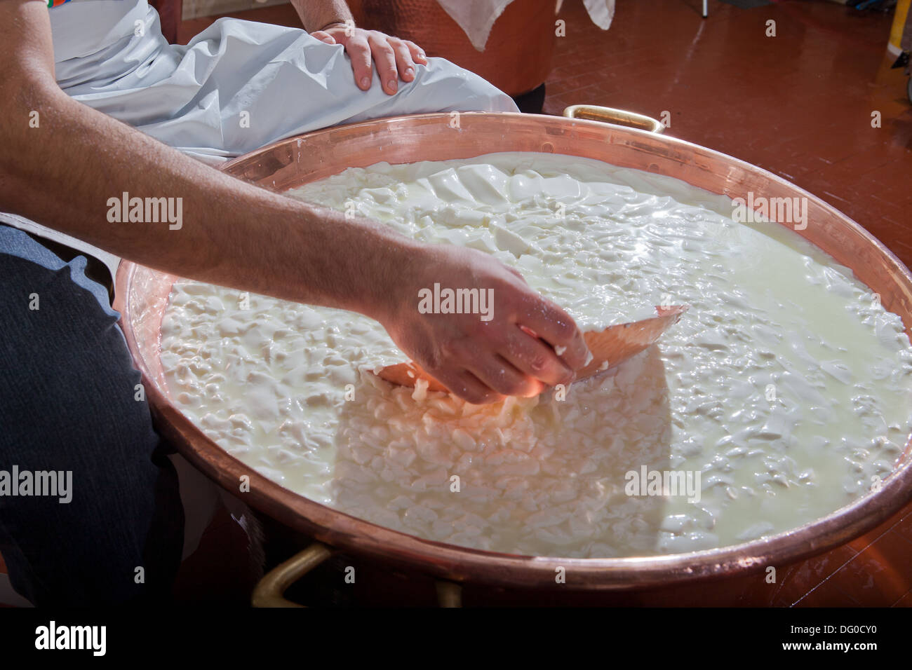 Italy, Lombardy, Valsassina, production of cheese Taleggio DOP ...