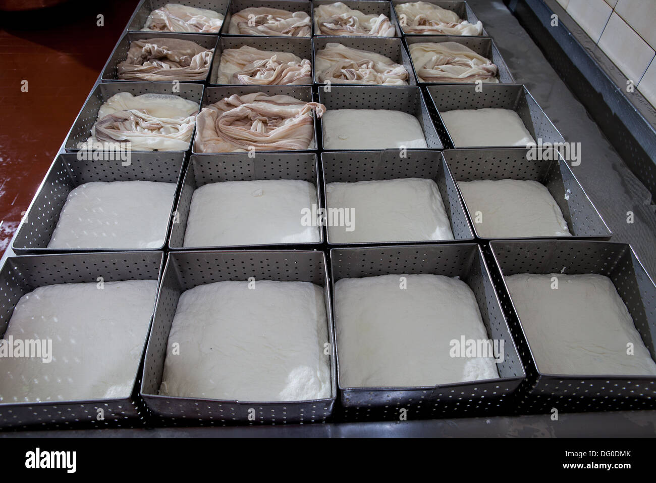 Italy, Lombardy, Valsassina, production of cheese Taleggio DOP ...