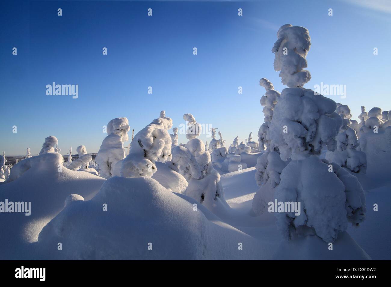 Harsa hi-res stock photography and images - Alamy