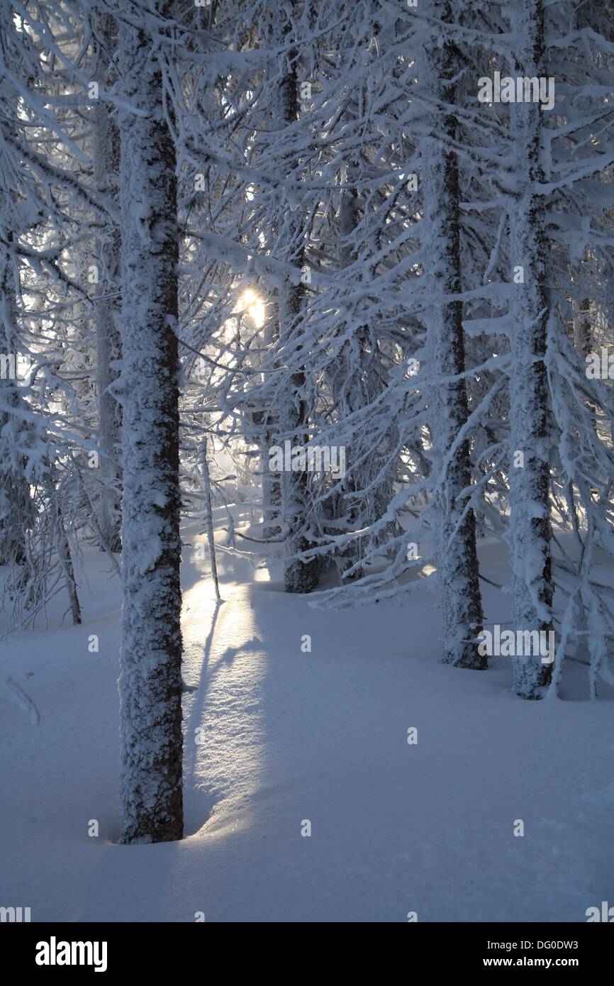 Harsa hi-res stock photography and images - Alamy