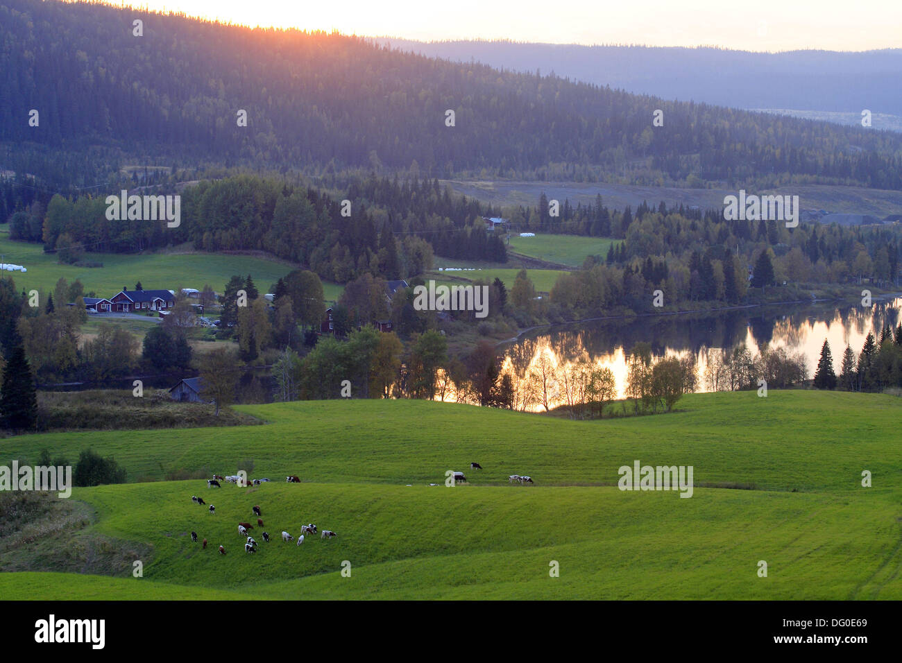 Duved hi-res stock photography and images - Alamy