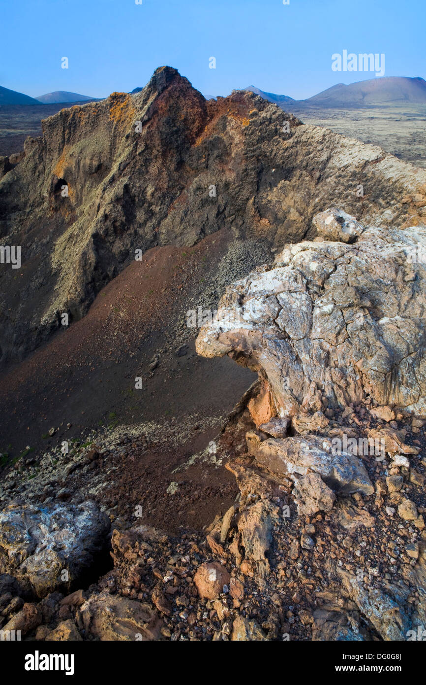 Raven in desert hi-res stock photography and images - Alamy