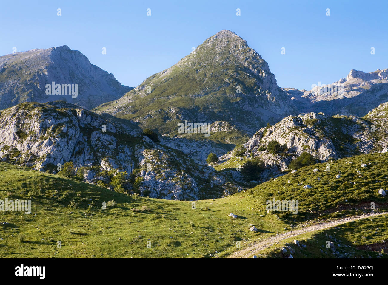 Pica Peak High Resolution Stock Photography and Images - Alamy