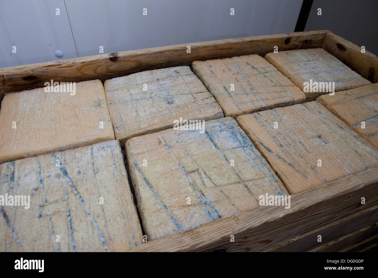 Taleggio dop processing hi-res stock photography and images - Alamy