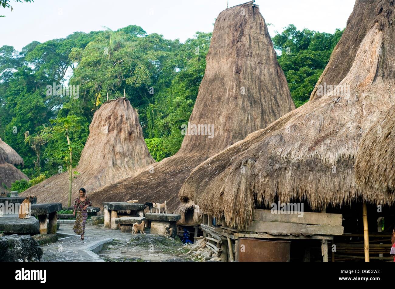 Sumba House Architecture High Resolution Stock Photography and Images ...