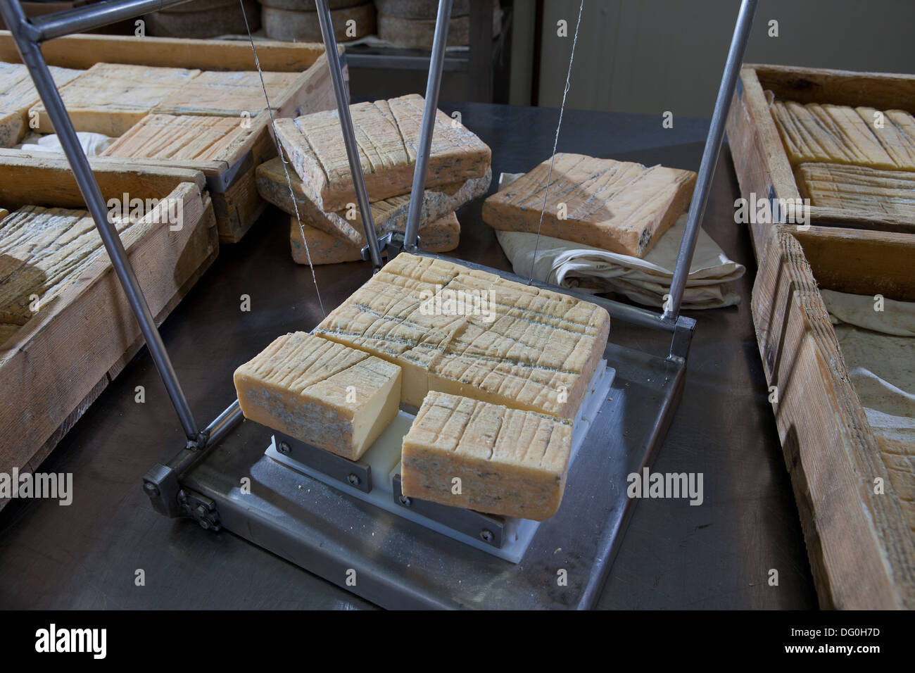 Taleggio dop processing hi-res stock photography and images - Alamy