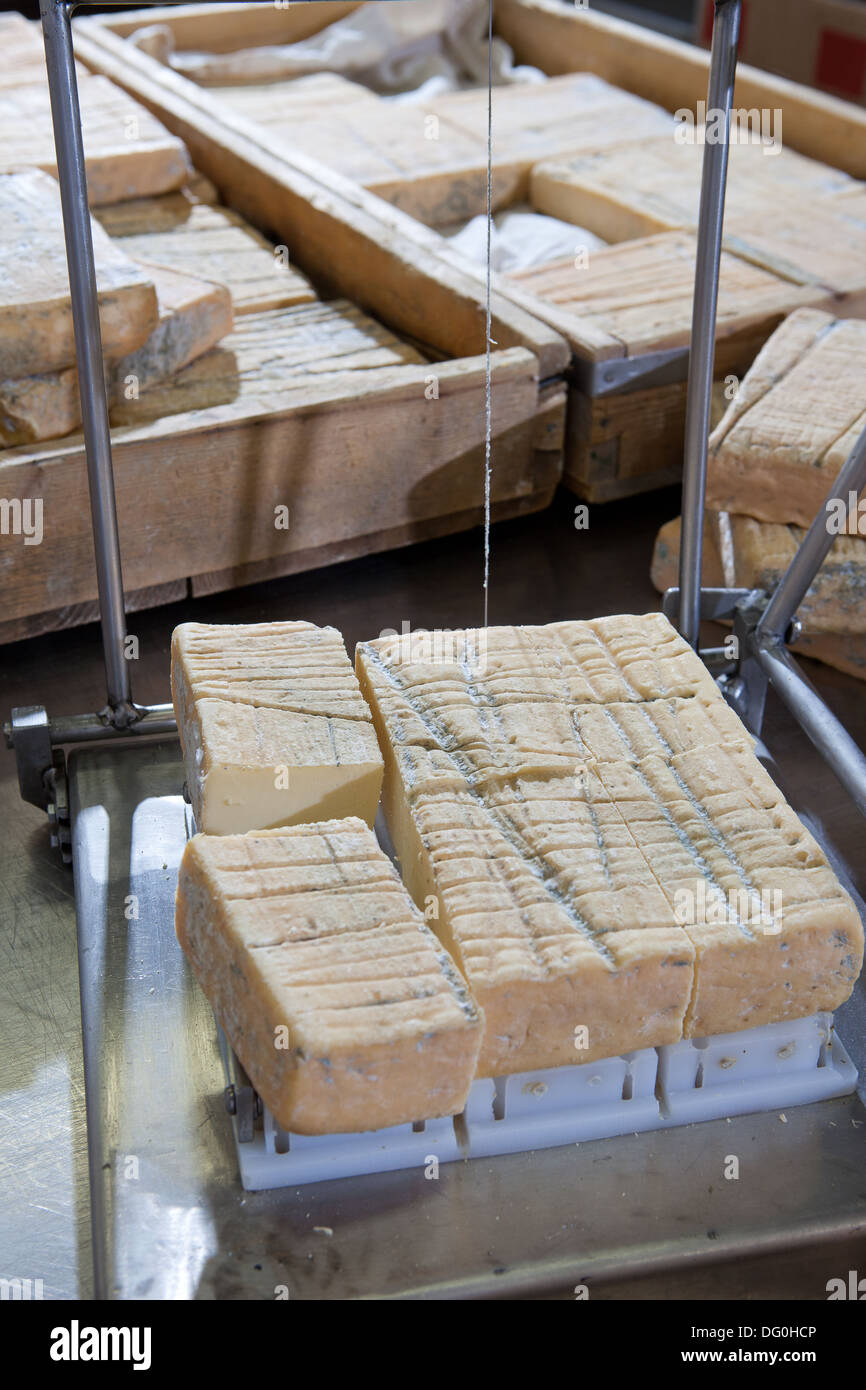 Italy, Lombardy, Valsassina, Taleggio DOP. Processing, traditional ...