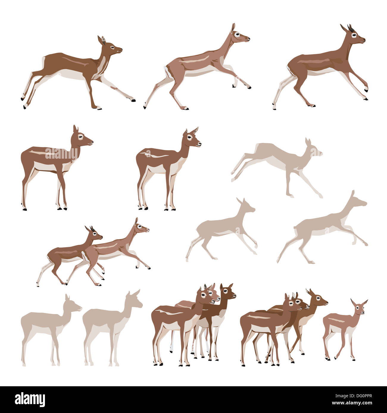 Antelope run hi-res stock photography and images - Alamy