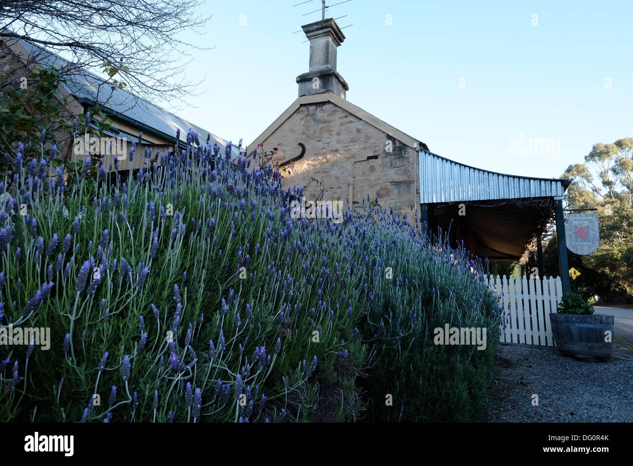 At Mintaro in the Clare Valley, South Australia Stock Photo - Alamy