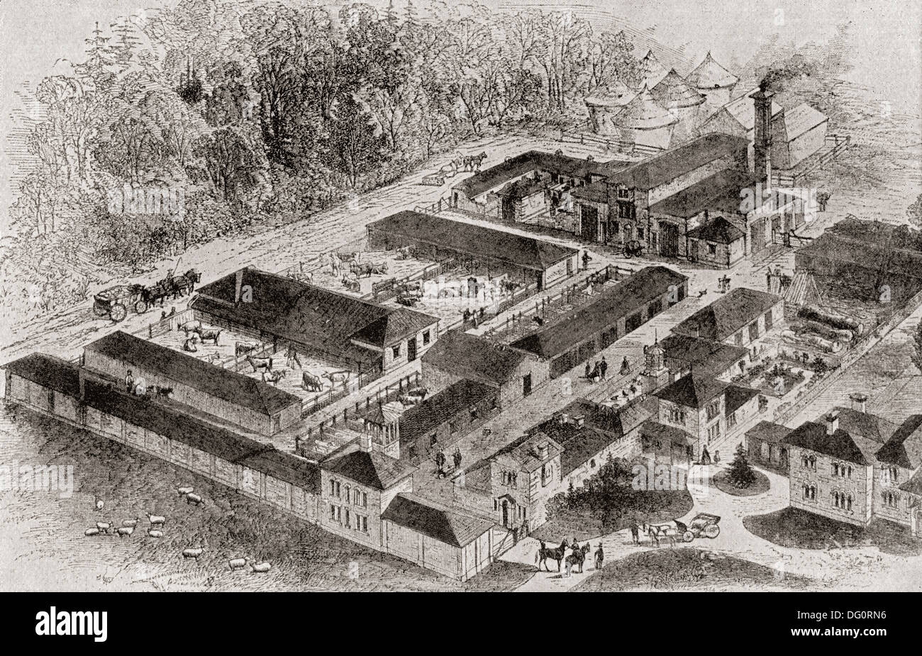 The model farm of Albert the Prince Consort at Windsor, Berkshire ...