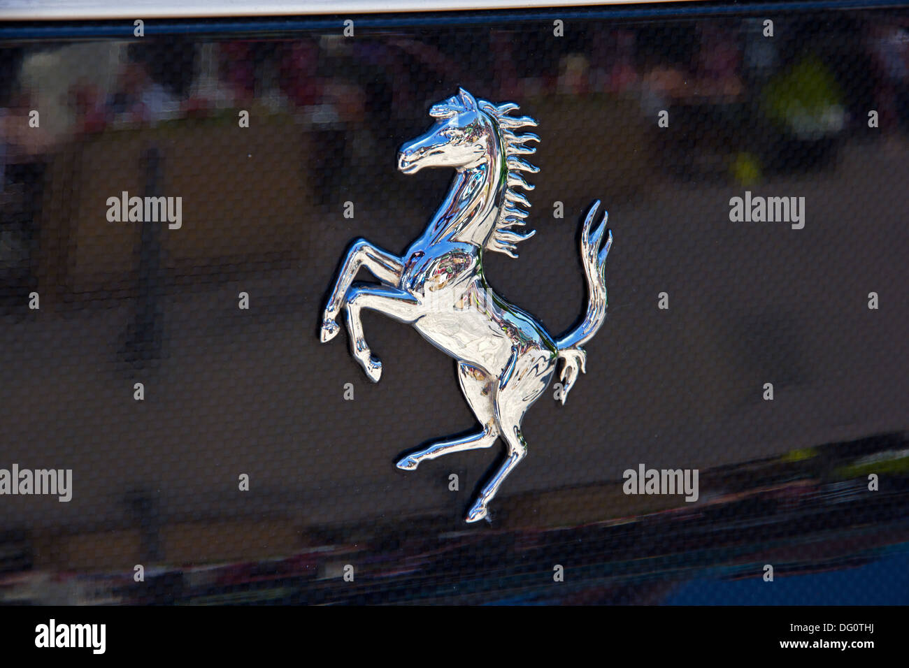 Prancing horse hi-res stock photography and images - Alamy