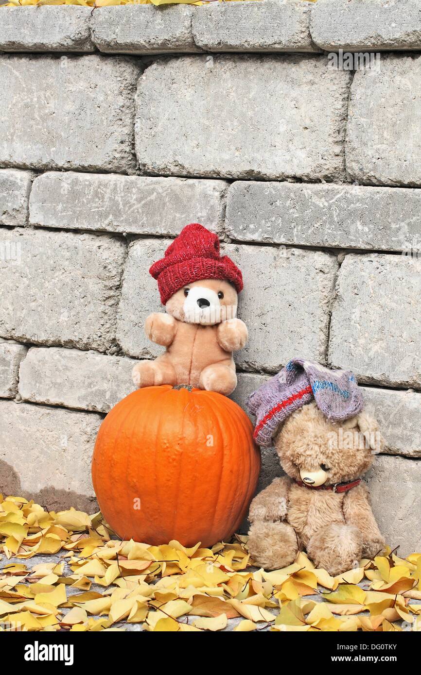 Dead panda bear hi-res stock photography and images - Alamy