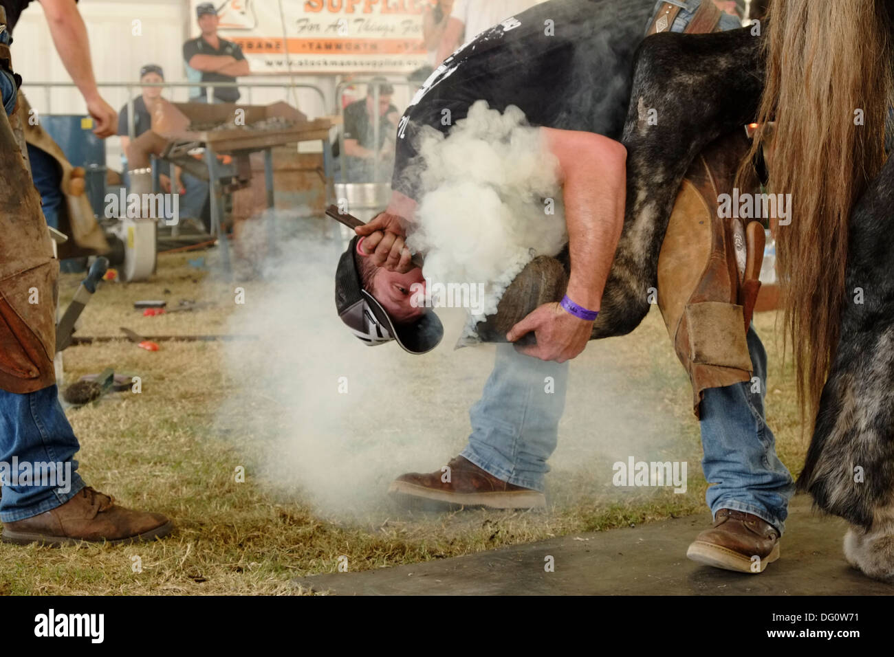 Shoeing competition hi-res stock photography and images - Alamy