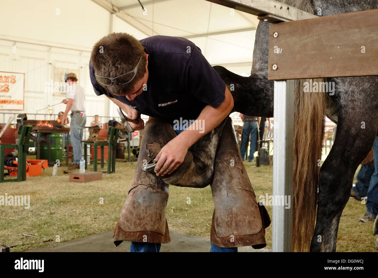 Shoeing competition hi-res stock photography and images - Alamy