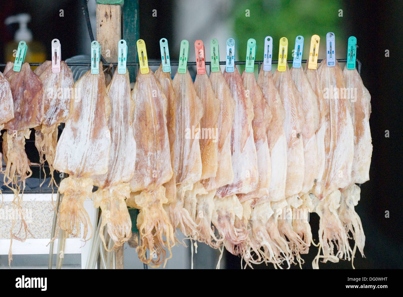 Dried Cuttlefish High Resolution Stock Photography and Images - Alamy