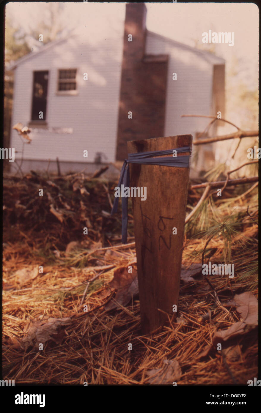 Surveyors' work is marked with ribbons in a housing development in ...