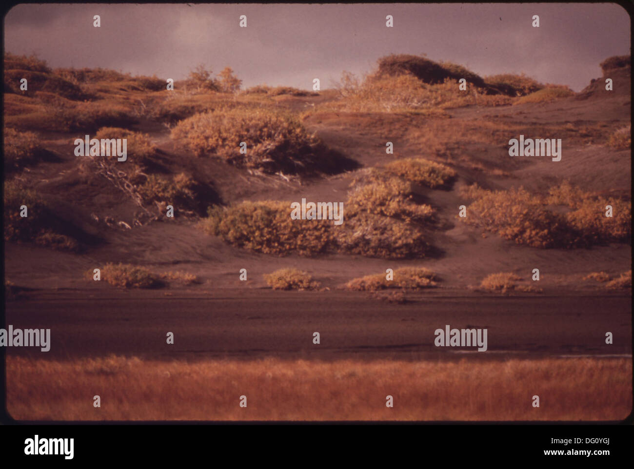 The sand dunes along the Atigun River near the pipeline crossing point ...