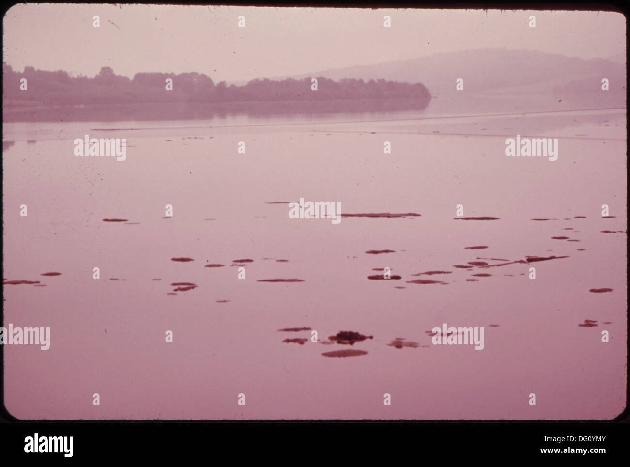 Sludge is seen floating on the Androscoggin River above the Gulf Island ...