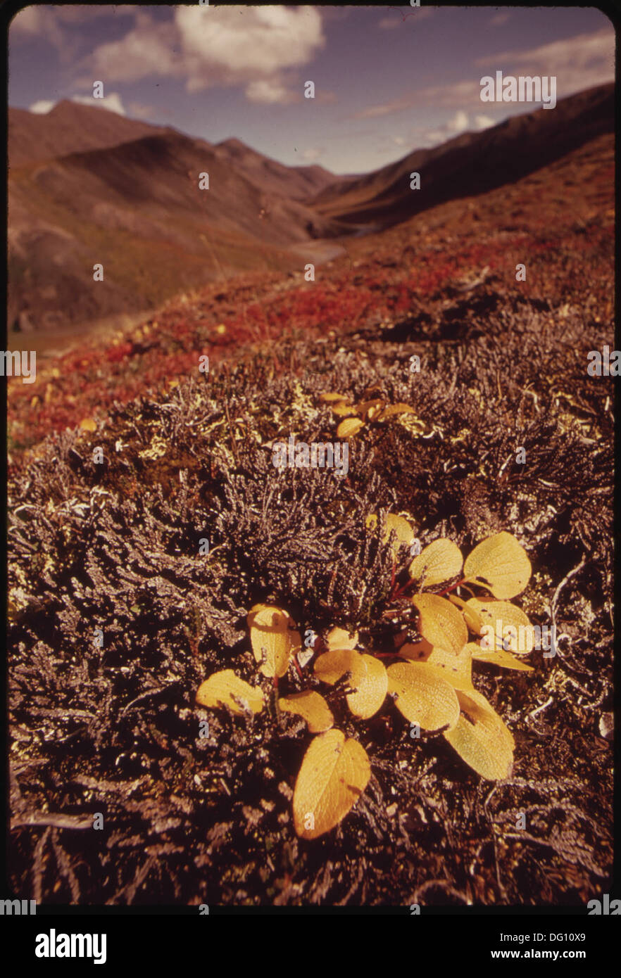 A typical autumn view of the Brooks Range, located north of its crest ...