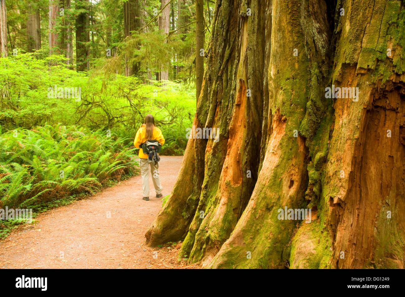 Simpson reed trail hi-res stock photography and images - Alamy