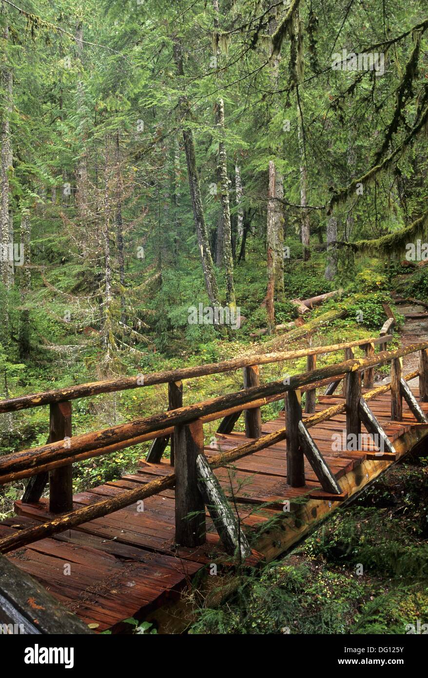 Silver falls loop trail hi-res stock photography and images - Alamy