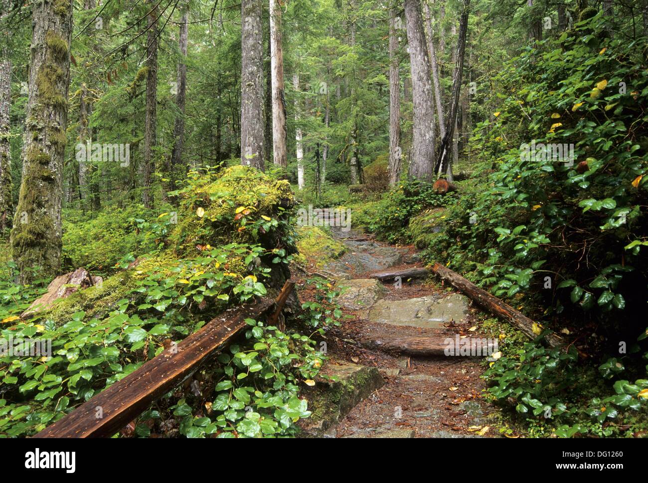 Silver falls loop trail hi-res stock photography and images - Alamy